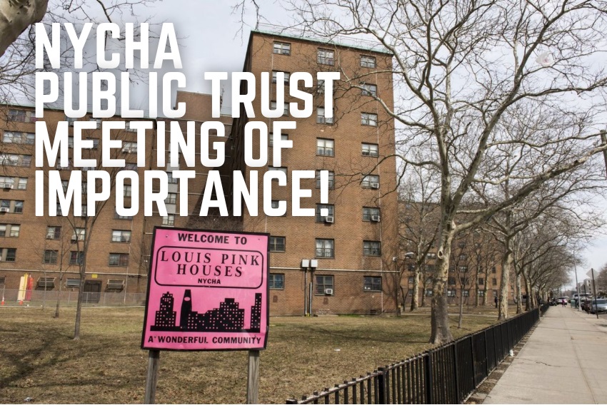 Assemblywoman Nikki Lucas Partnering with Pink Houses Tenant Assoc To ...